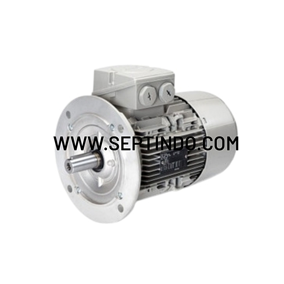 Jual Siemens Motor 15KW 20HP 3000 RPM ,1500 RPM ,1000 RPM B5 | Shopee ...
