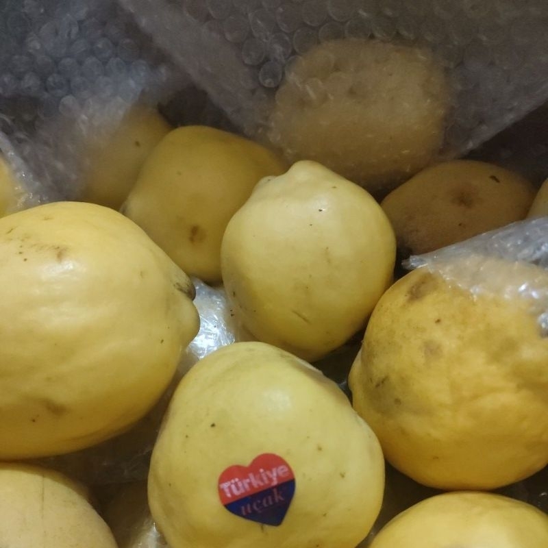 Jual buah Safarjal asli dari Turki ready di Indonesia per 1 kg | Shopee ...