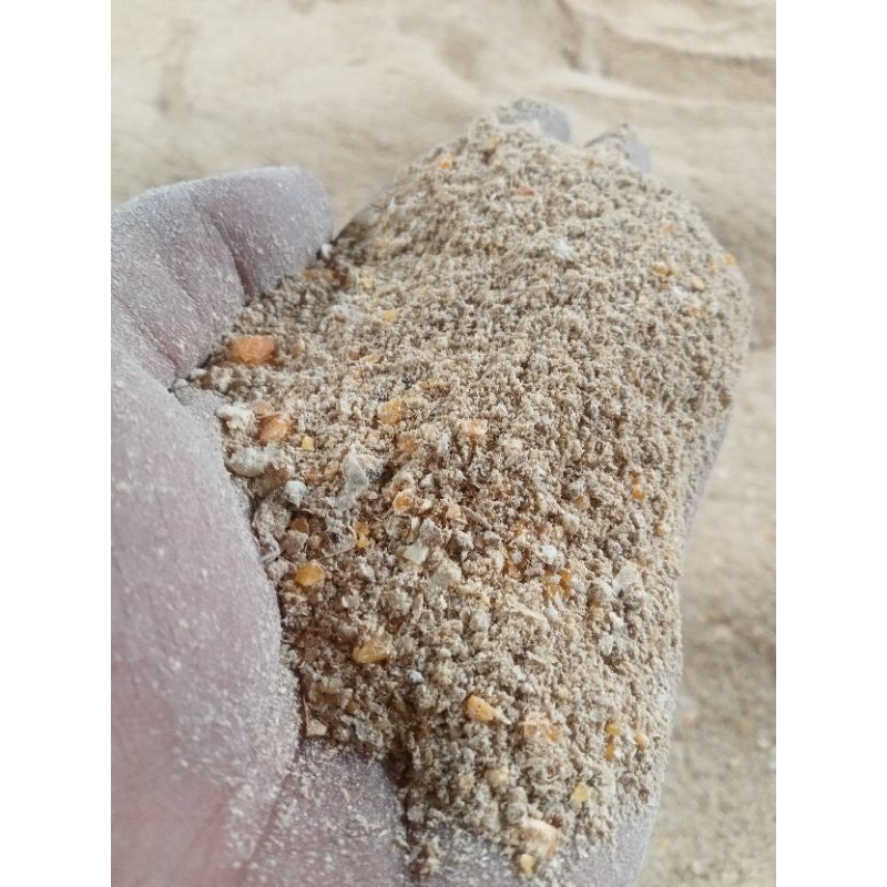 Jual pakan ayam petelur produksi PAR L atau shipping Pokphand 324 ...