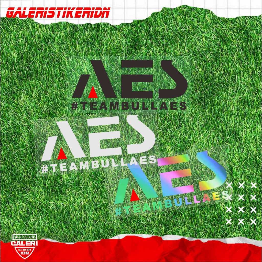 Jual Sticker AES Team BullAES STIKER AES CUTTING | Shopee Indonesia