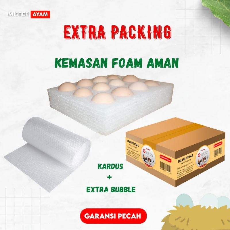 Jual Ayam Elba Terlengkap & Harga Terbaru Juni 2026 | Shopee Indonesia