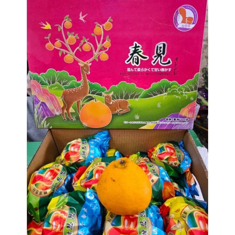 Jual Jeruk Dekopon Gift Box | Shopee Indonesia