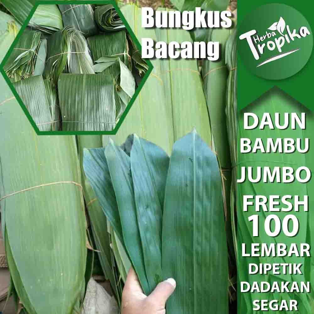 Jual Daun Bambu Jumbo Segar bungkus bacang 100 lembar toko herba ...