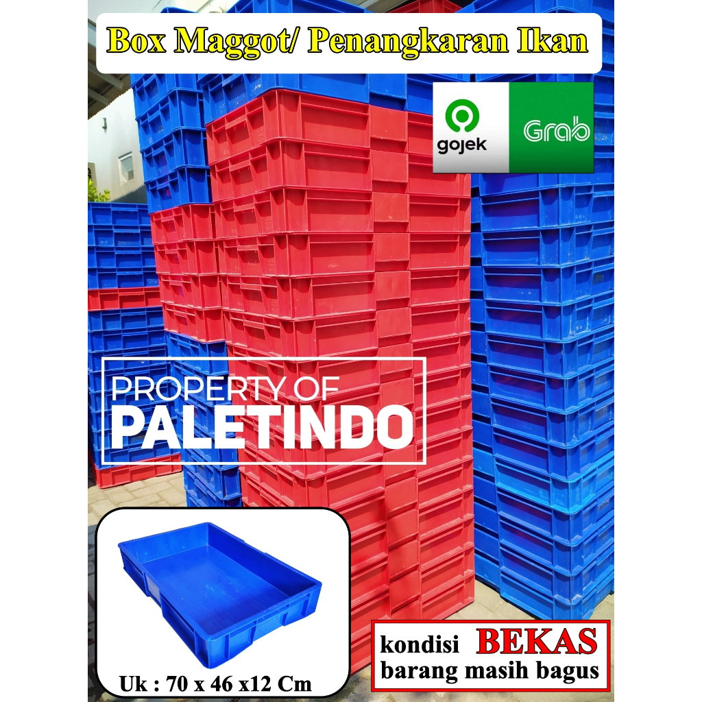 Jual Box Maggot Box Penangkaran Ikan Box Solid 70 x 46 x 12 Cm BEKAS ...