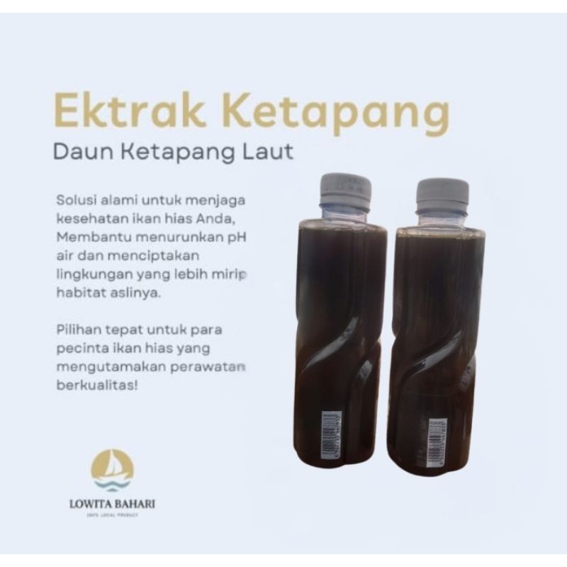 Jual Ektrak ketapan laut 500ml -380ml | Shopee Indonesia
