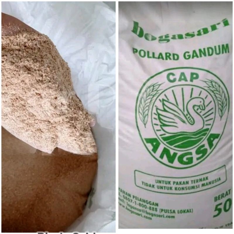 Jual Pollard gandum cap angsa bogasari pakan hewan ternak 1kg | Shopee ...