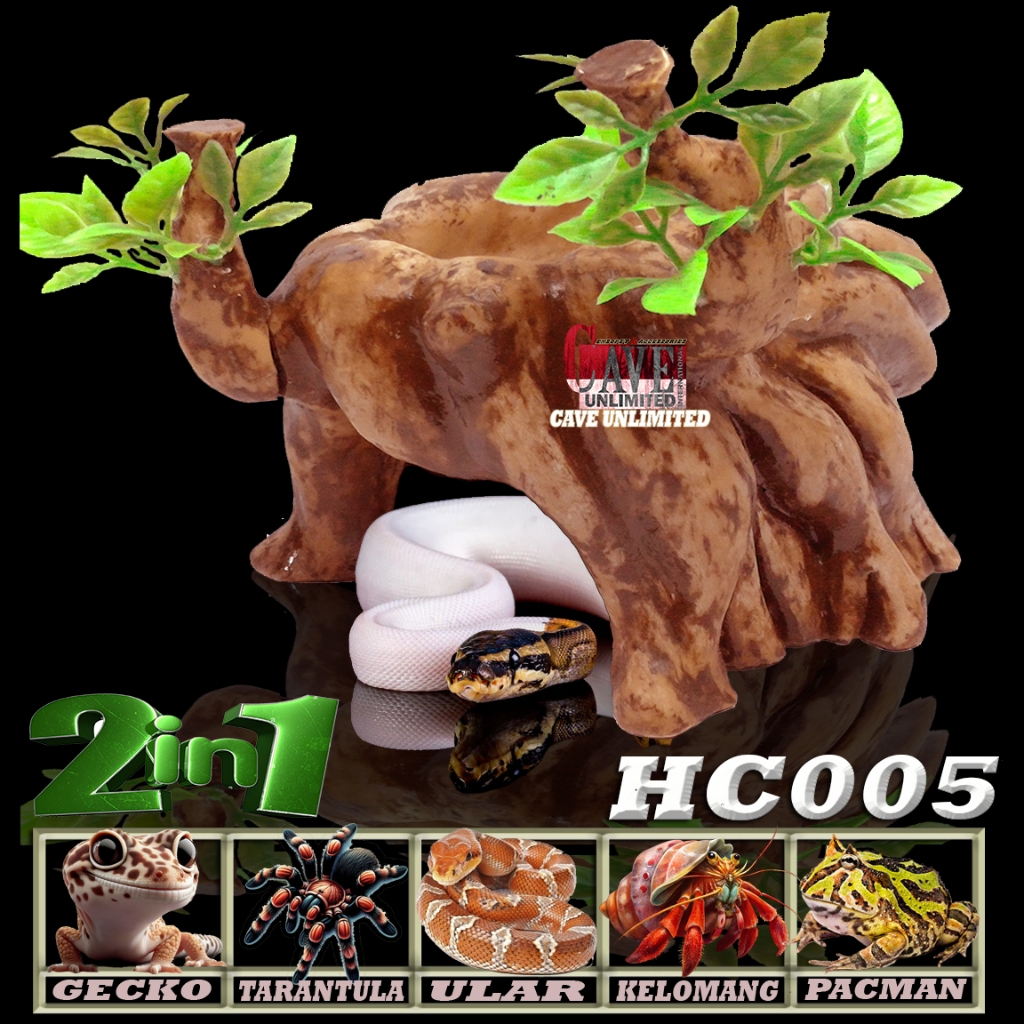 Jual HC005 HIDINGCAVE PLACE 2IN1 HIDING CAVE+WATERDISH REPTILE HIDEOUT ...