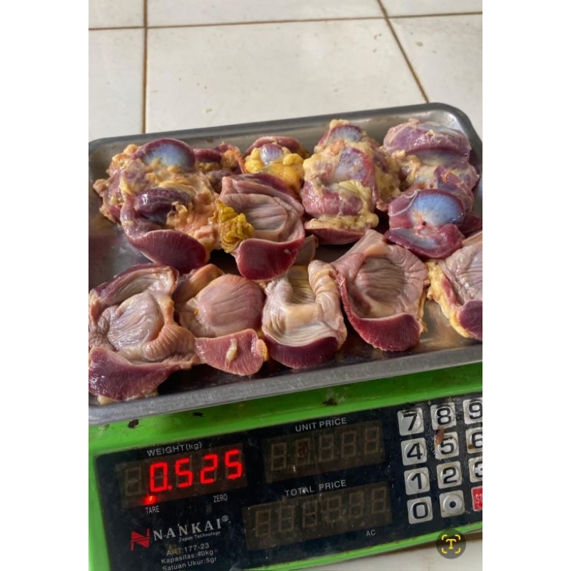 Jual AMPELA AYAM PEREN / AYAM LAYER MERAH/ AYAM TUA ( 500 Gr ) | Shopee ...