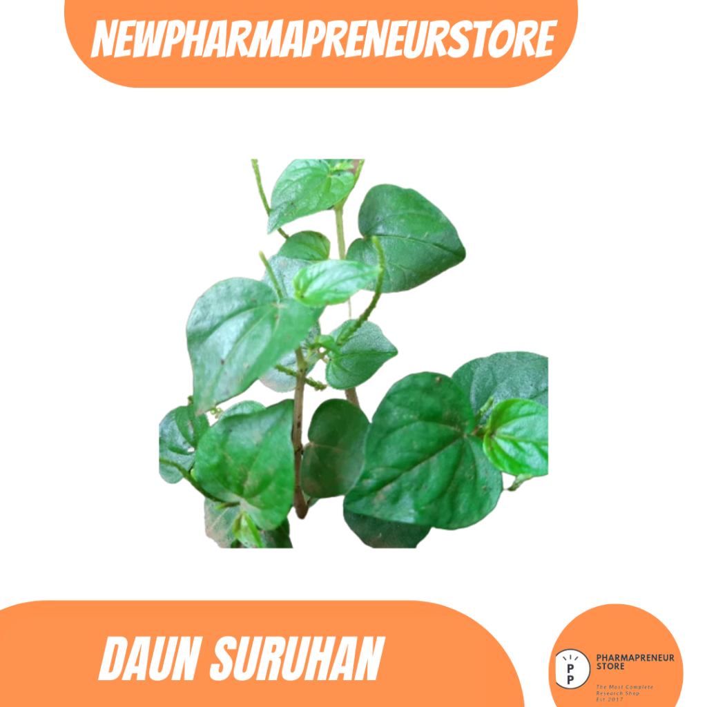 Jual EKSTRAK DAUN SURUHAN BEST QUALITY | Shopee Indonesia