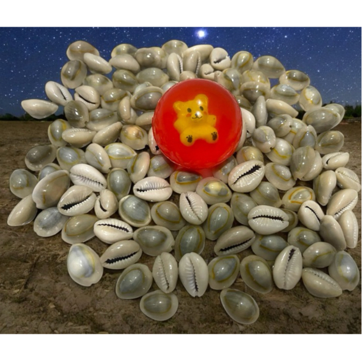 Jual Set Bola Bekel Isi 10 Biji Kerang Asli Mainan Anak Tradisional ...