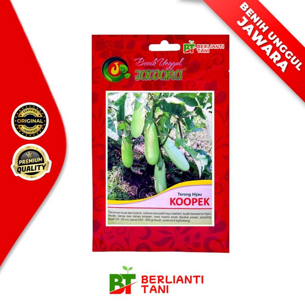 Jual BENIH TERONG HIJAU KOOPEK ISI 10 GRAM || PRODUK JAWARA | Shopee ...