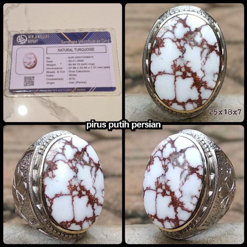 Jual pirus putih persia iran super kuno ( asli ngerikil ceplok kuro ...