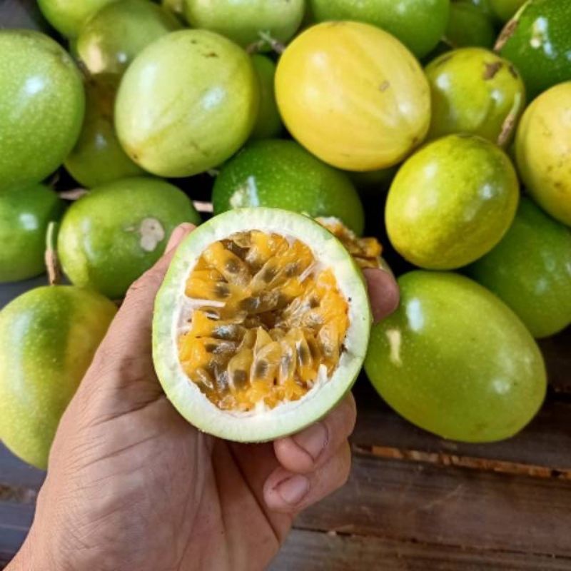 Jual Promo jual buah markisa segar rasa asam manis dadakan per 1 kg | Shopee Indonesia