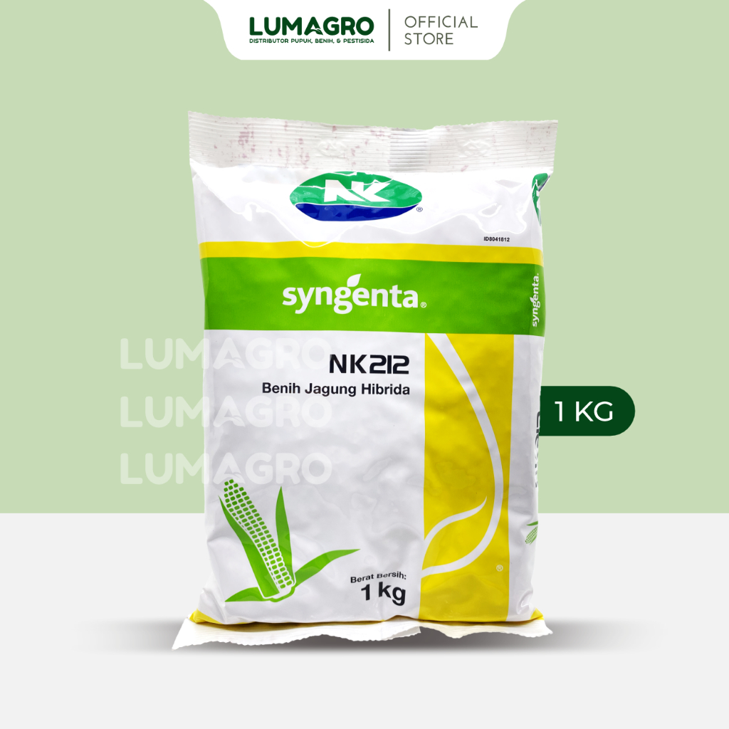 Jual Benih Jagung NK212 1kg Bibit Hibrida Tahan Penyakit Busuk Tongkol ...