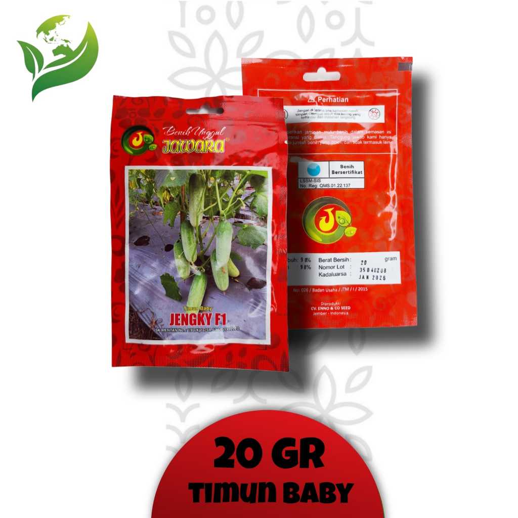 Jual Benih Bibit Timun Baby Hibrida Unggul Jengky F1 20 Gram (+- 1,600 ...