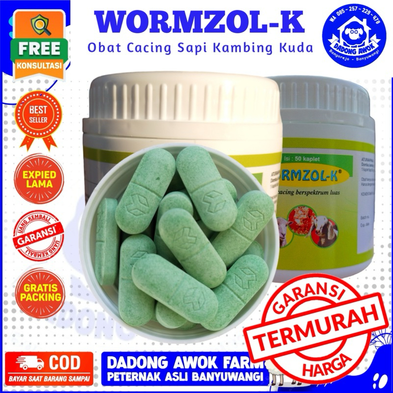 Jual OBAT CACING KAMBING DOMBA WORMZOL K 50 WORMZOL K 10 Kaplet - Obat ...