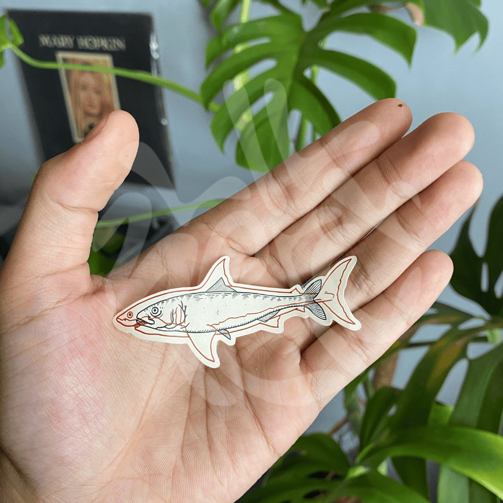 Jual sticker ikan / aesthetic sticker / sticker tumblr / aesthetic ...