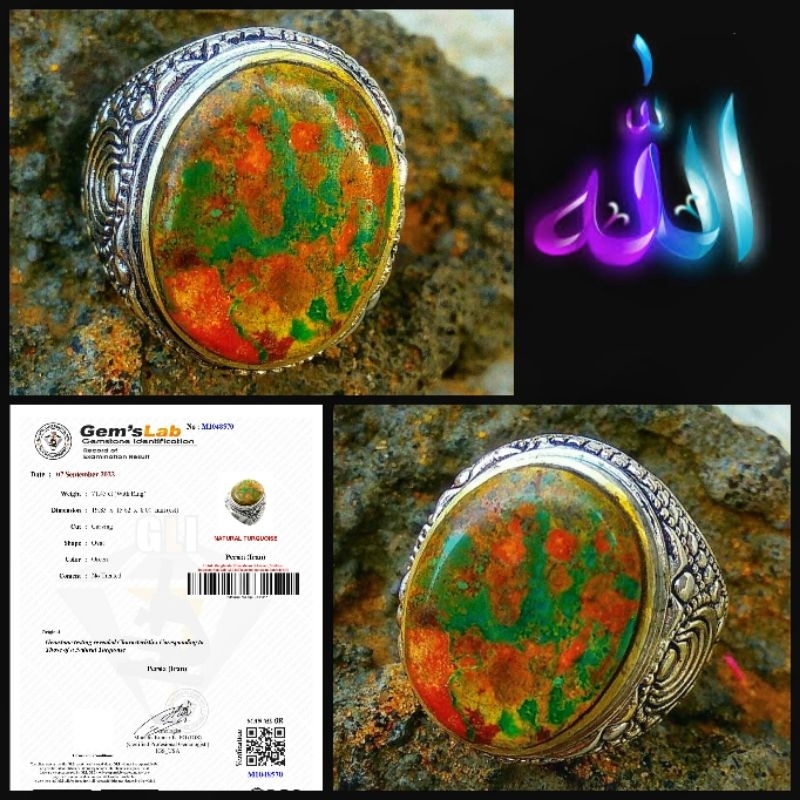 Jual natural 100% pirus ijo daun persia urat emas ( asli gambar lafadz ...