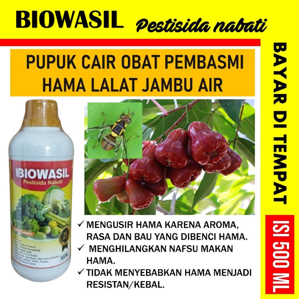 Jual biowasil insektisida Pestisida Organik Obat Hama Pembasmi Lalat ...