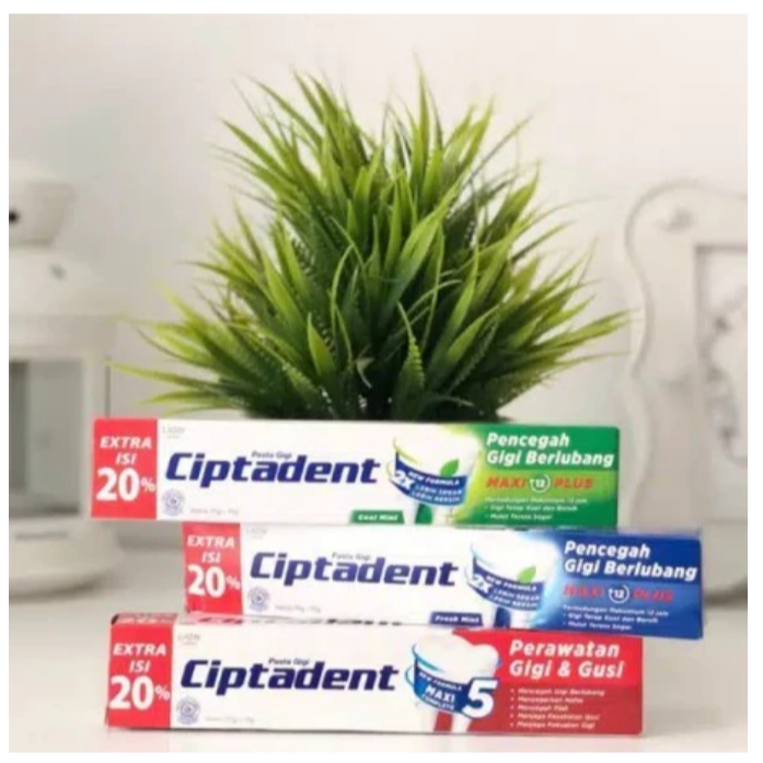 Jual CIPTADENT PASTA GIGI PENCEGAH GIGI BERLUBANG MAXI 12 FRESH MINT 75 ...