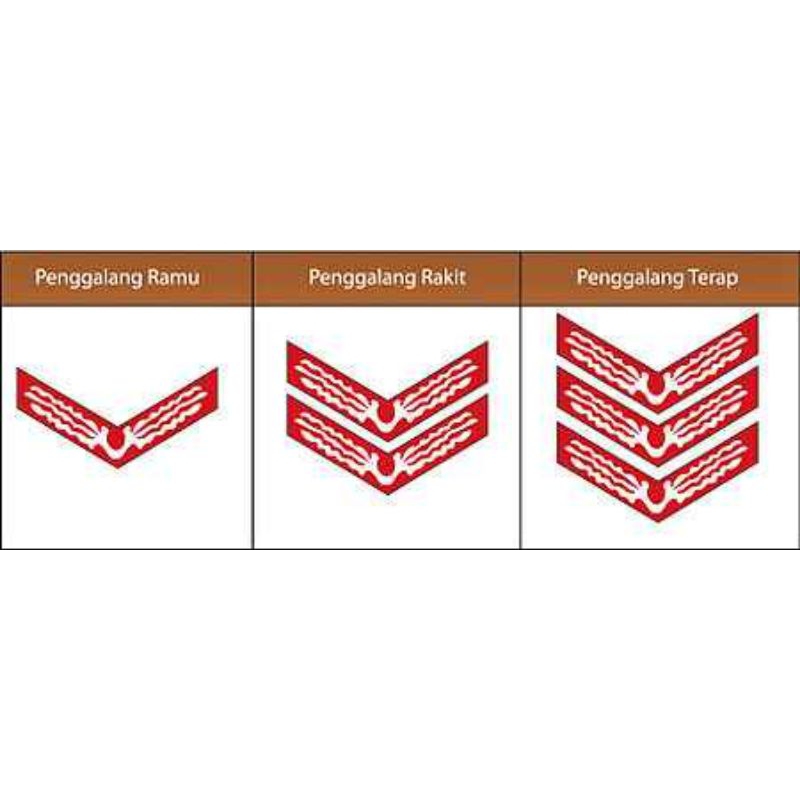 Jual TKU RAMU RAKIT TERAP Pramuka Penggalang | Shopee Indonesia