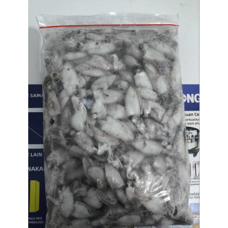 Jual Frozen Baby Cumi 1 kg | Shopee Indonesia