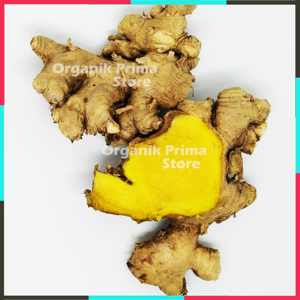 Jual Bengle Segar 1kg atau Panglai Organik | Shopee Indonesia
