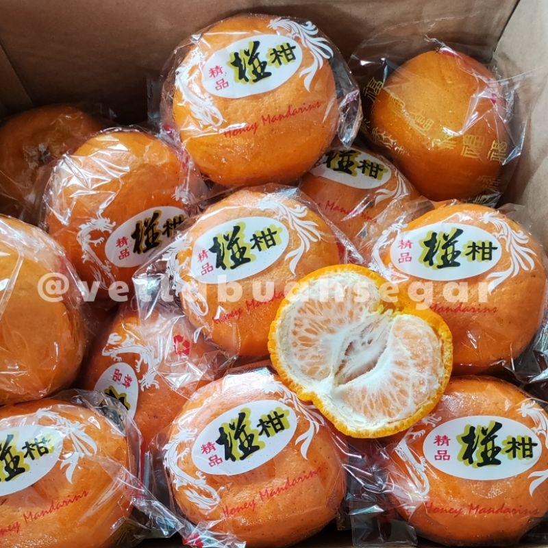 Jual [BARU!! KIRIM INSTAN/SAMEDAY] Jeruk Honey Ponkam Manis Bulir Besar ...