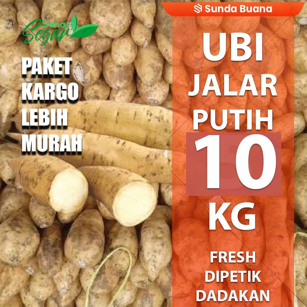 Jual Paket Kargo Umbi Ubi Jalar Putih 10 kg fresh kualitas unggul ...