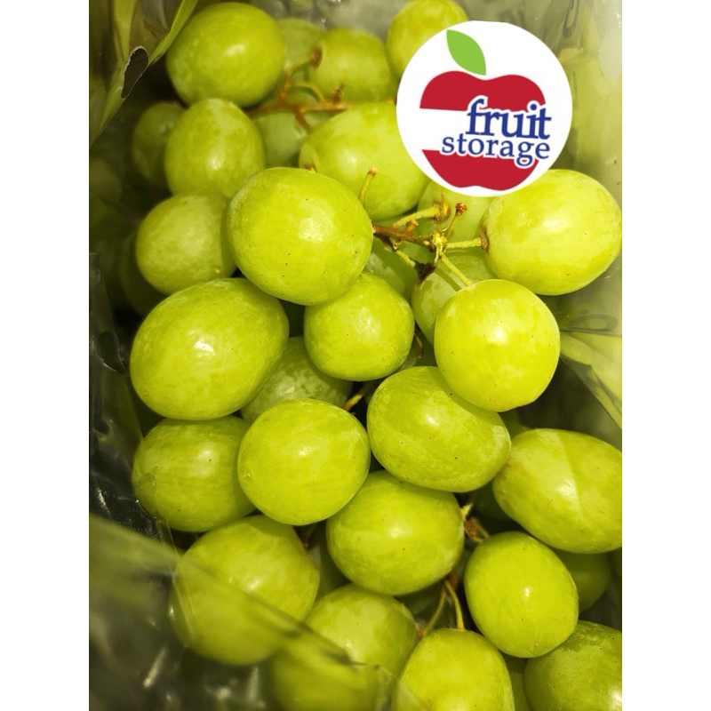 Jual Buah Anggur Hijau Seedless tanpa Biji Import shine muscat merah ...