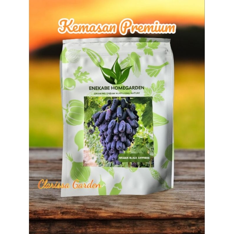 Jual (KEMASAN PREMIUM) BIJI/BENIH TANAMAN ANGGUR BLACK SAPPHIRE (isi ...
