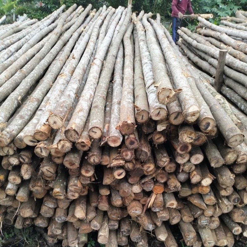 Jual Kayu Dolken Terlengkap & Harga Terbaru Juni 2026 | Shopee Indonesia