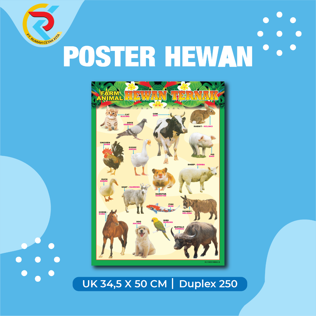 Jual Poster Edukasi Anak Aneka Hewan 23 | Hiasan Dinding Ruangan Kelas ...