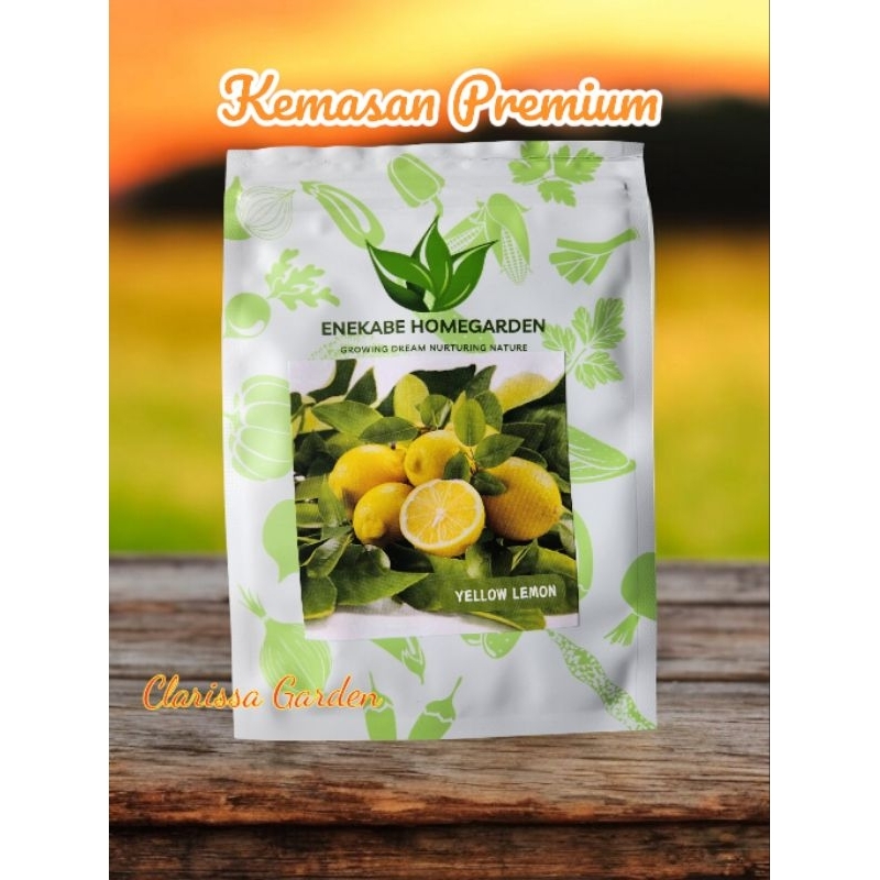 Jual (KEMASAN PREMIUM) BIJI/BENIH TANAMAN JERUK LEMON KUNING IMPORT ...