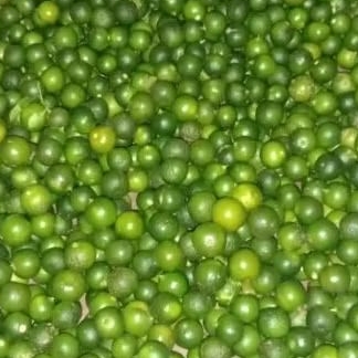 Jual jeruk songkit/lemon cui 5kg | Shopee Indonesia