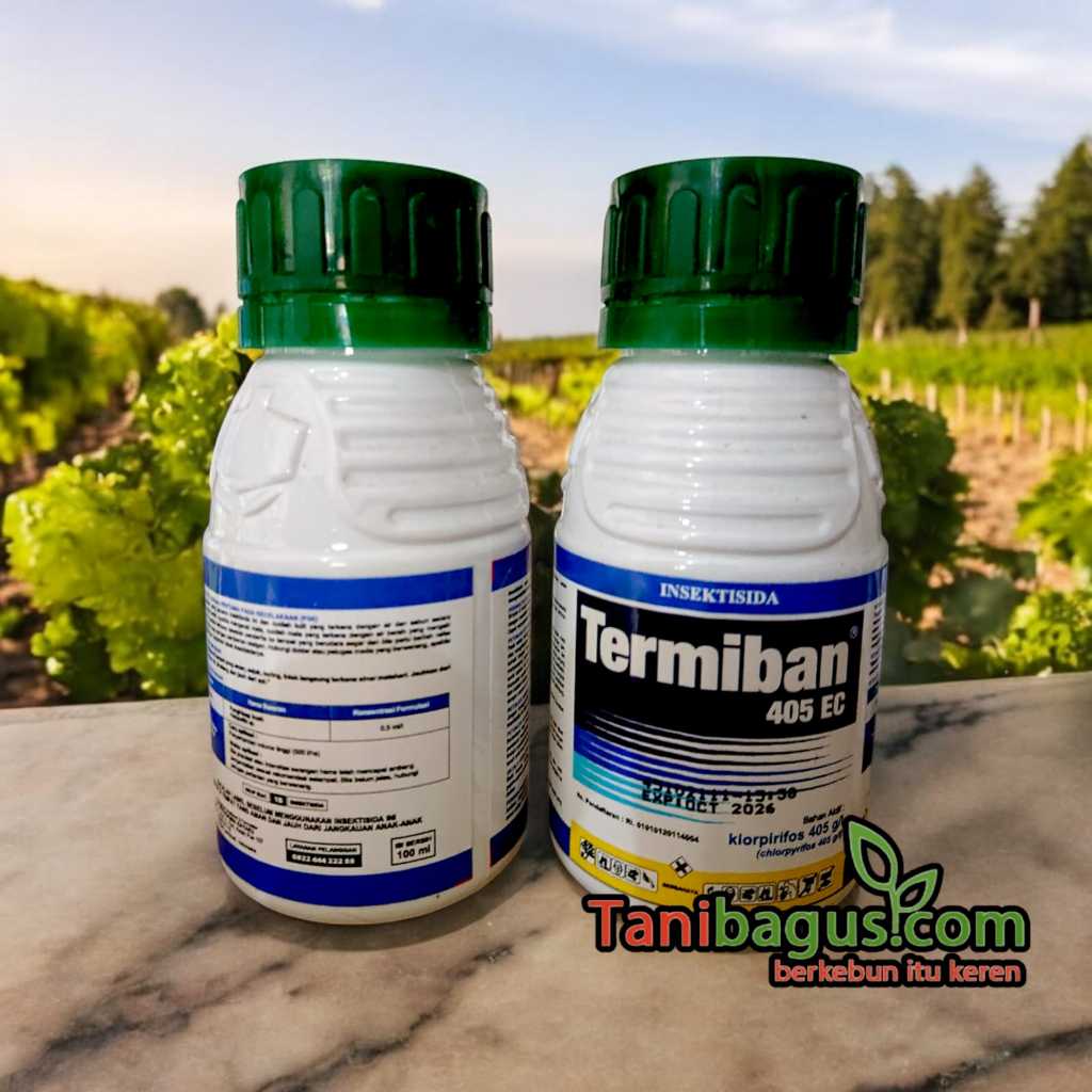 Jual Obat Anti Rayap Termiban - Kemasan 100 ml | Shopee Indonesia