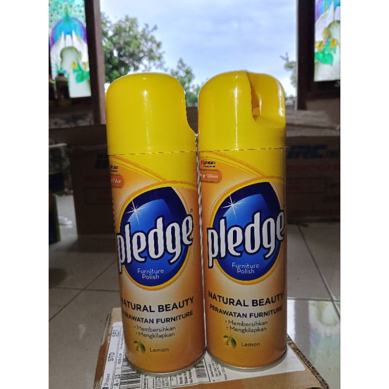 Jual Pledge Furniture Polish Orange/Lemon 330ml | Shopee Indonesia