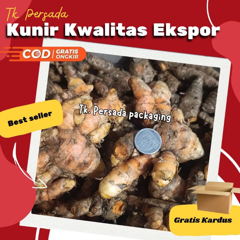 Jual [ 1 Kg ] Kunyit Super Ekspor - Kunyit Jumbo - Kunyit Segar ...