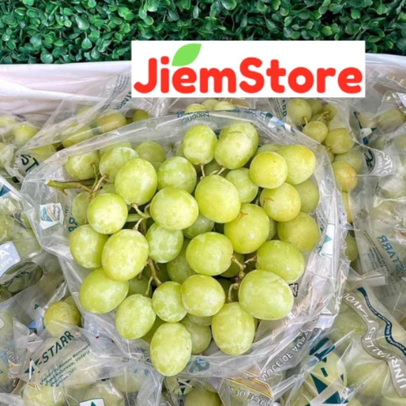 Jual Anggur Hijau Autumn Green Seedless Buah Segar Fresh Fruit | Shopee ...
