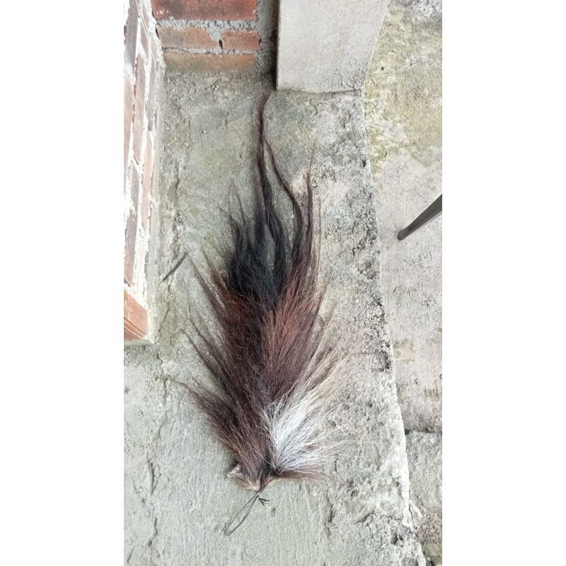 Jual ekor kuda | Shopee Indonesia