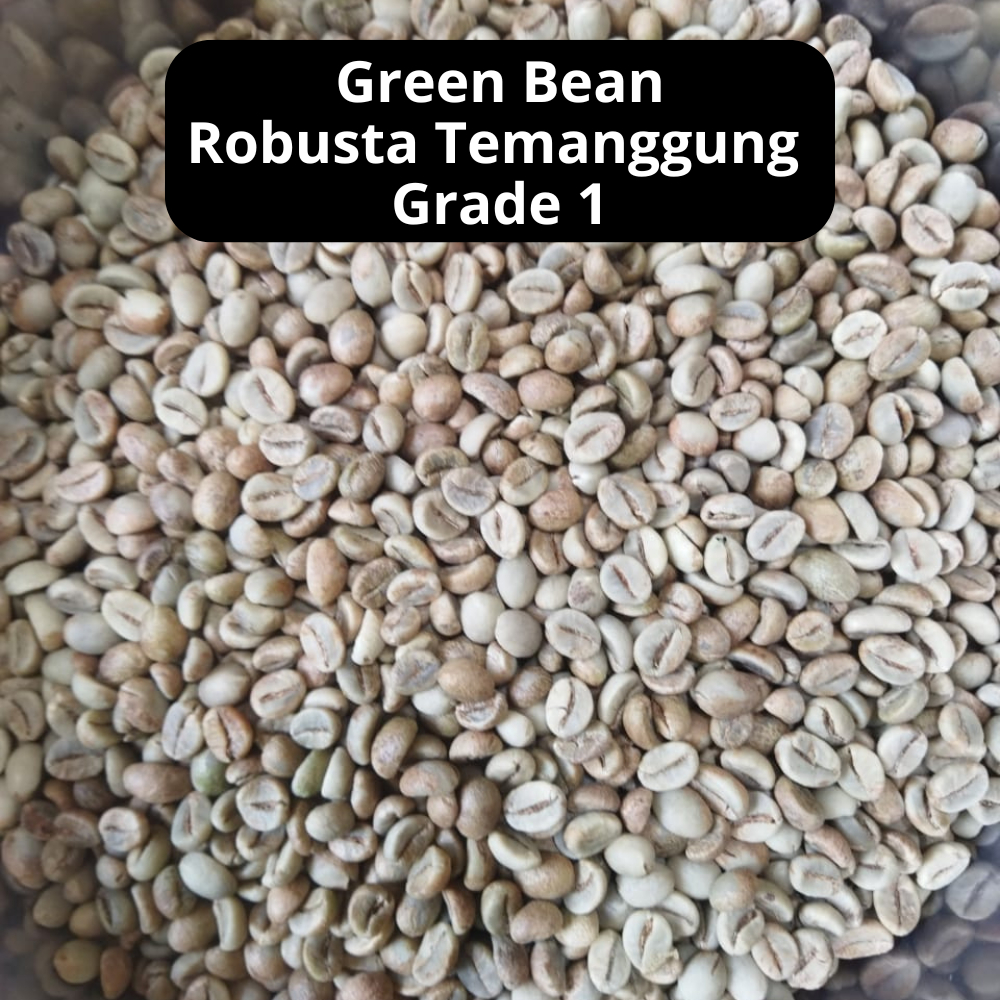 Jual Green Bean Kopi Robusta Temanggung Grade 1 Premium Biji Mentah 1KG ...