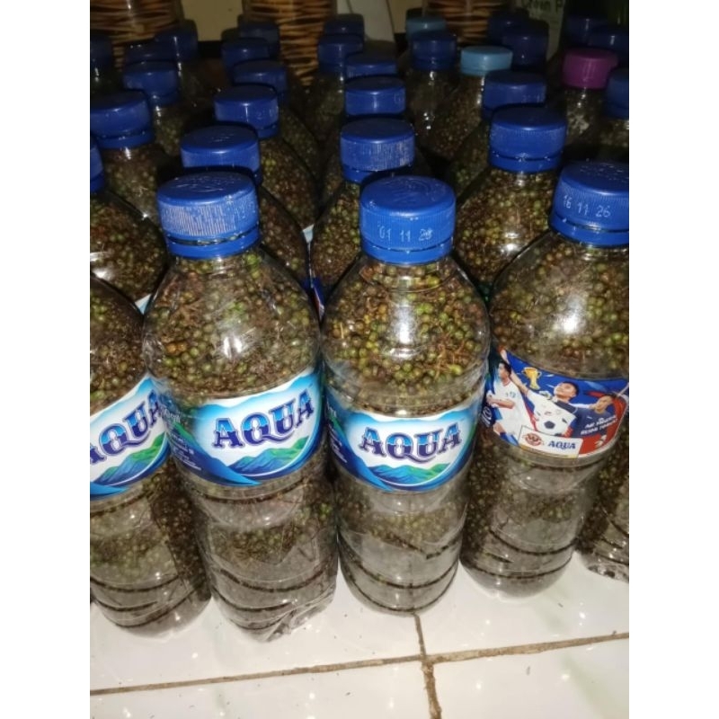 Jual Andaliman Segar , 1kg , Rempah Alami , Tuba, Itir - Itir , khas ...