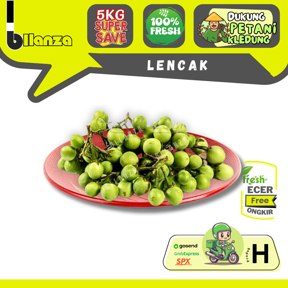 Jual Bllanza | Lencak / Leunca / Ranti / Black Nightshade — Sahabat ...