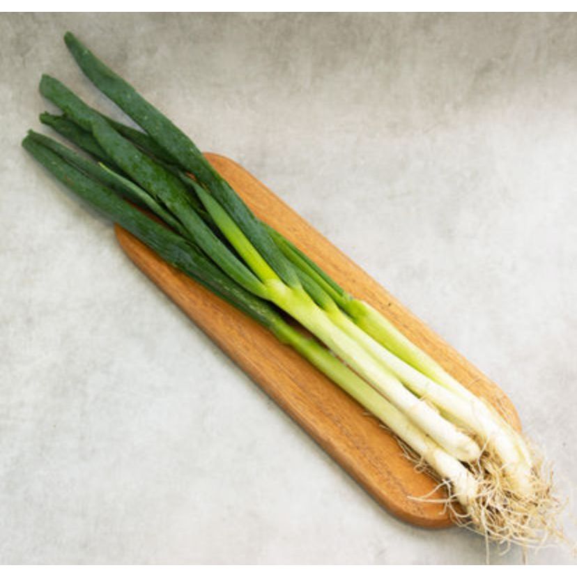 Jual Daun Bawang Daging Pre 250 gr 500 gr Fresh Instan Surabaya ...