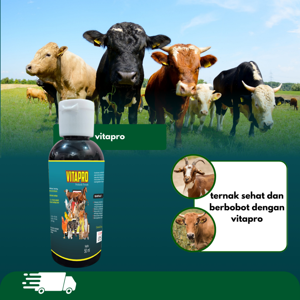 Jual Vitamin vitapro Probiotik untuk segala jenis hewan Kelinci Anggora ...