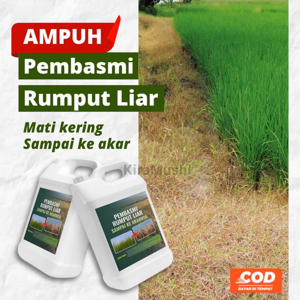 Jual Obat Rumput Liar Pembasmi Gulma & Ilalang, Racun Rumput Ramah ...