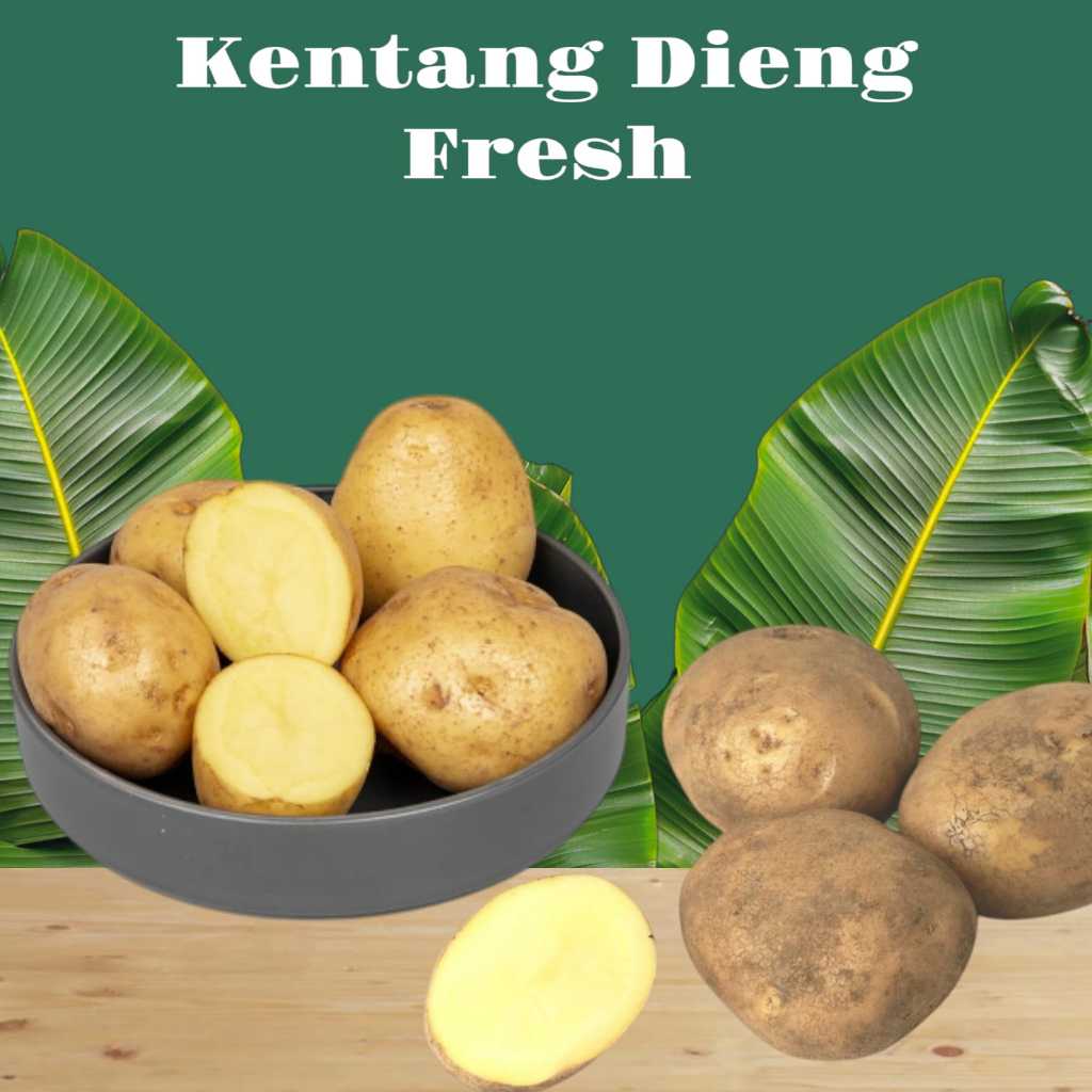 Jual Kentang Dieng Segar 500g-1kg (100%Original) | Shopee Indonesia