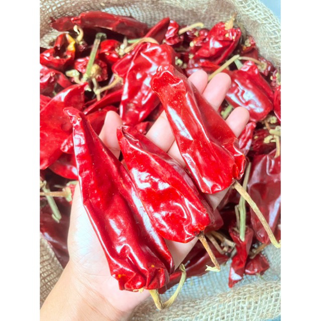 Jual Cabe Kering Yidu 1 Kg/ Dried Yidu Chili | Shopee Indonesia