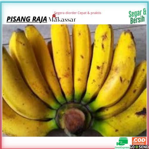 Jual Pisang raja segar murah makassar pasar terong dan pasar pannampu ...
