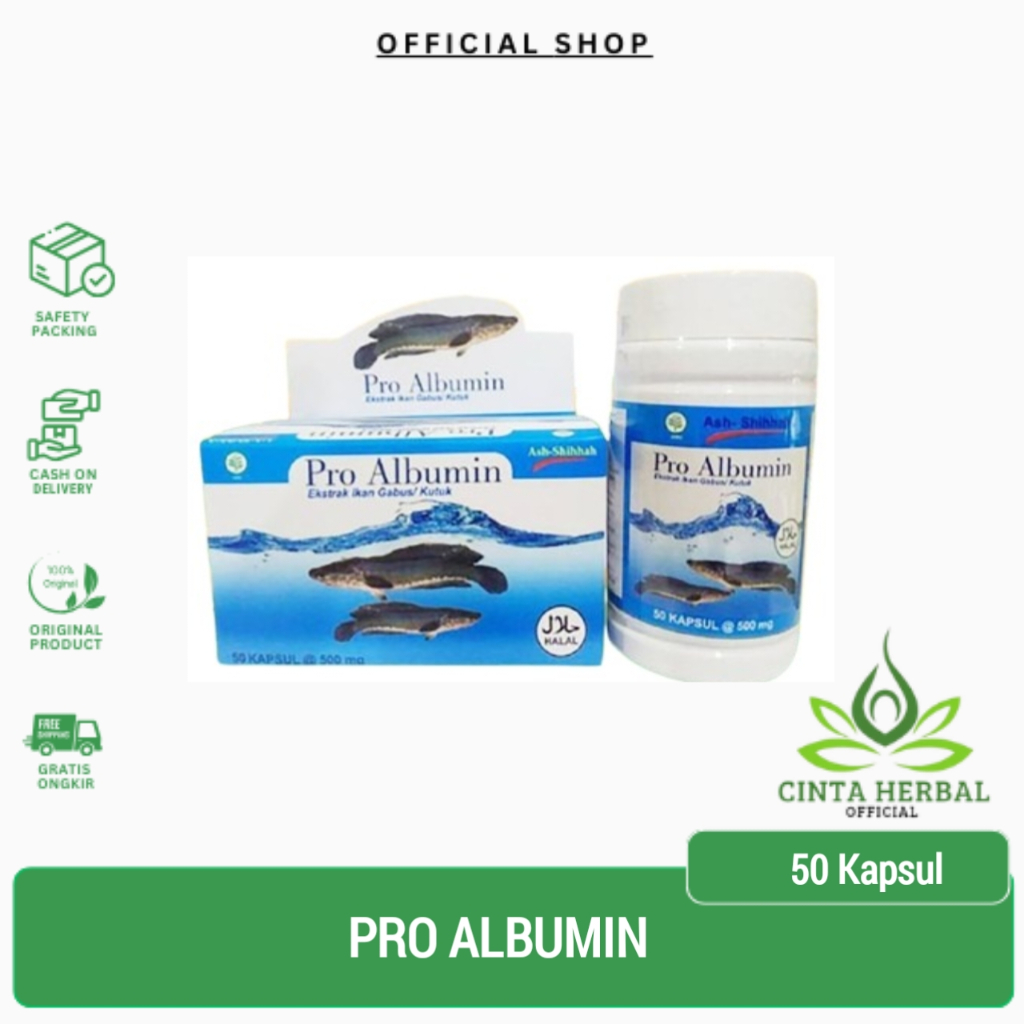 Jual PRO Albumin Ekstrak Ikan Gabus / SAH Ekstrak Albumin Ikan Gabus 60 Kapsul / Azzayan Albumin ...